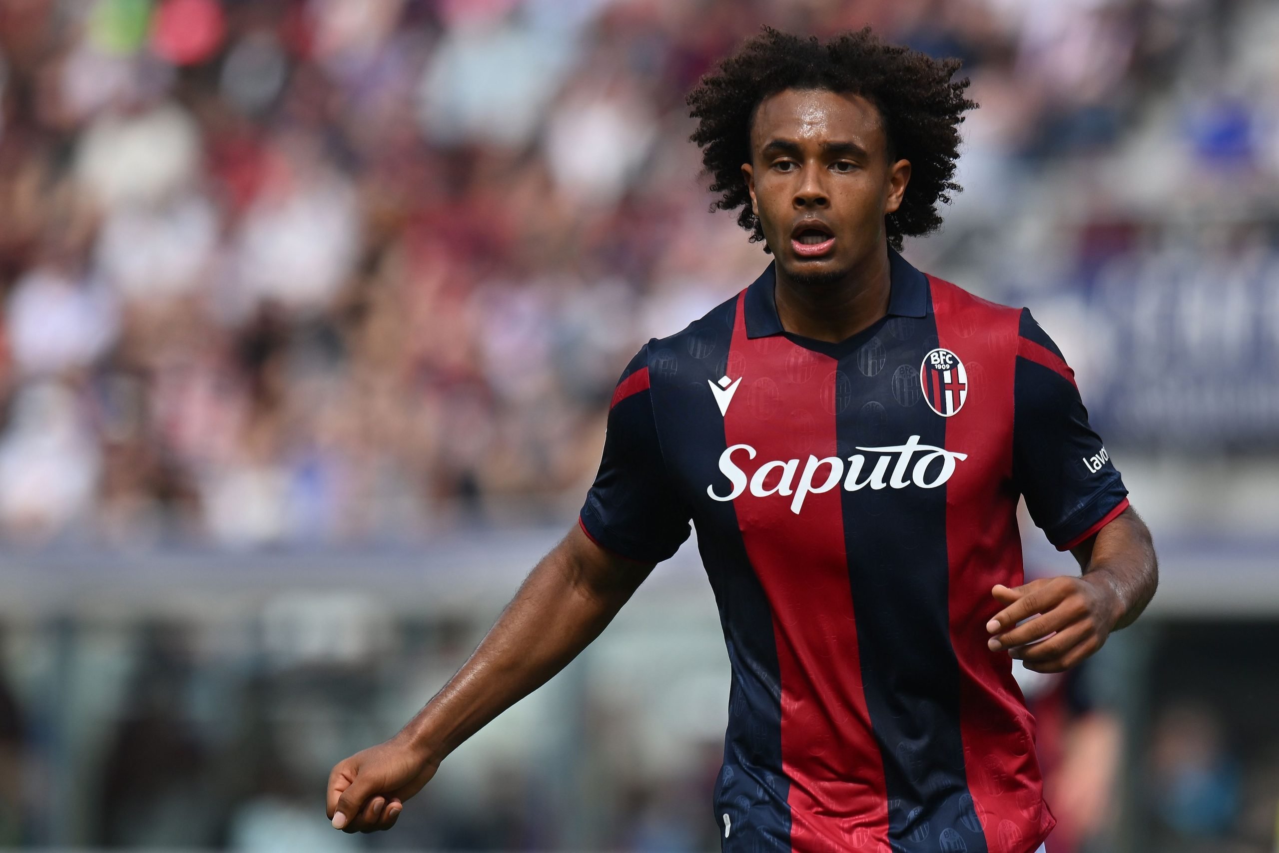 Bayern Munich to pocket €20m from Joshua Zirkzee's move to Milan - Get ...