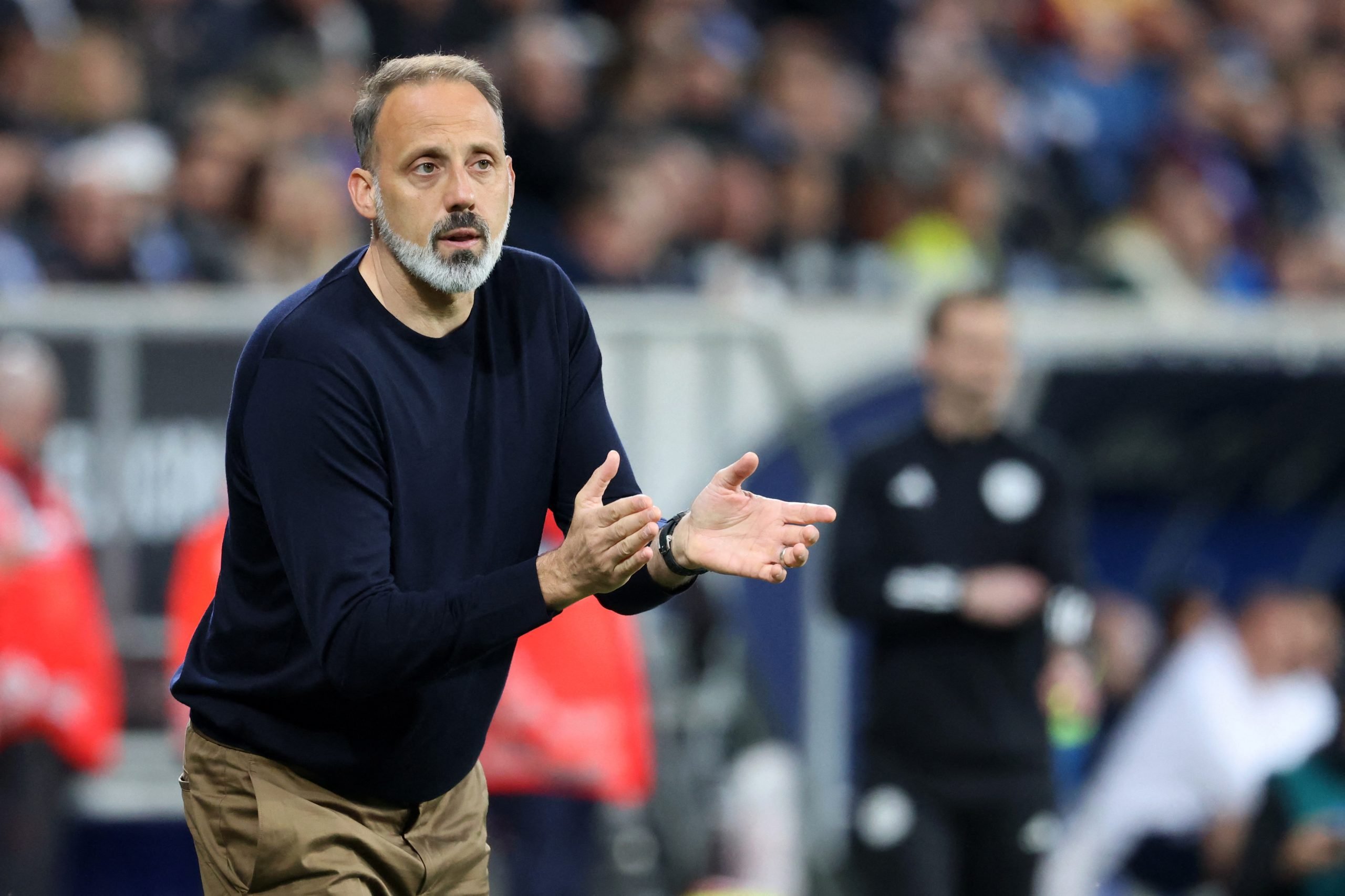 Hoffenheim head coach Pellegrino Matarazzo a candidate for the USA job ...