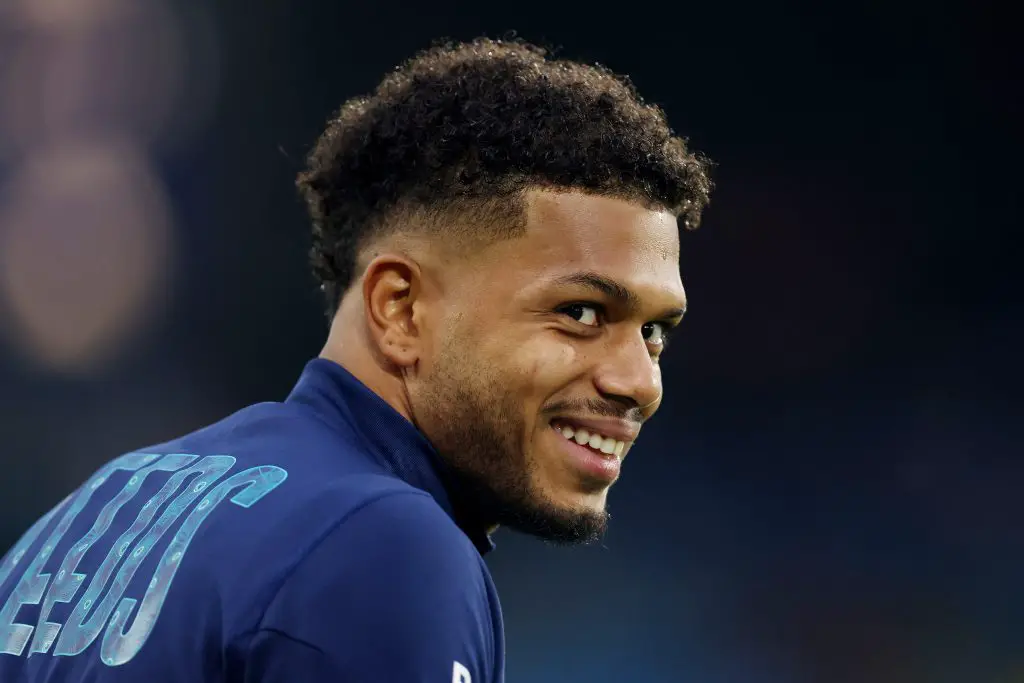 Research reveals more dodgy dealings involving Hoffenheim and agent ...